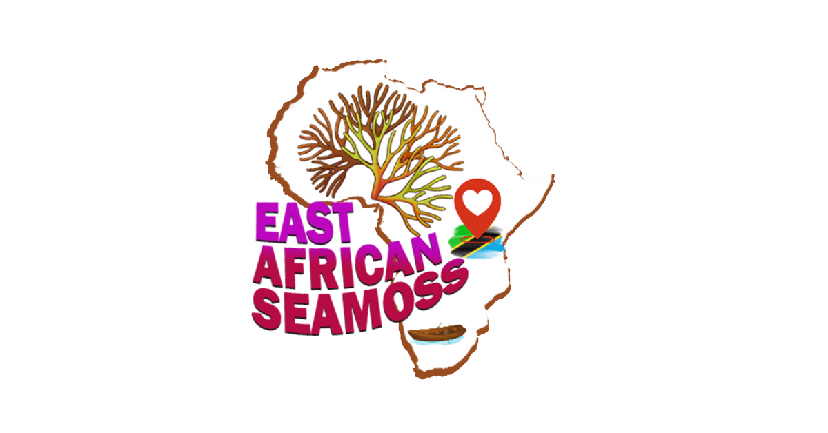 Raw East African Sea Moss (4oz) – eastafricanseamoss